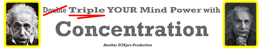 Albert Einstein's Distraction Index | Concentration and Focus | Mind ...