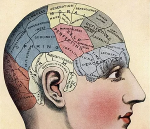 Photographic Memory | Photographic Memory Training